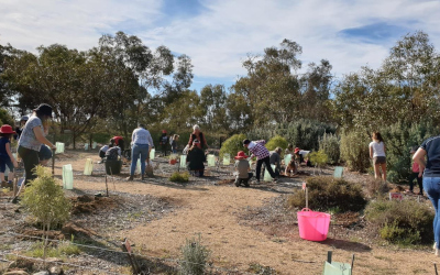 Mid Murray Landcare SA | Home